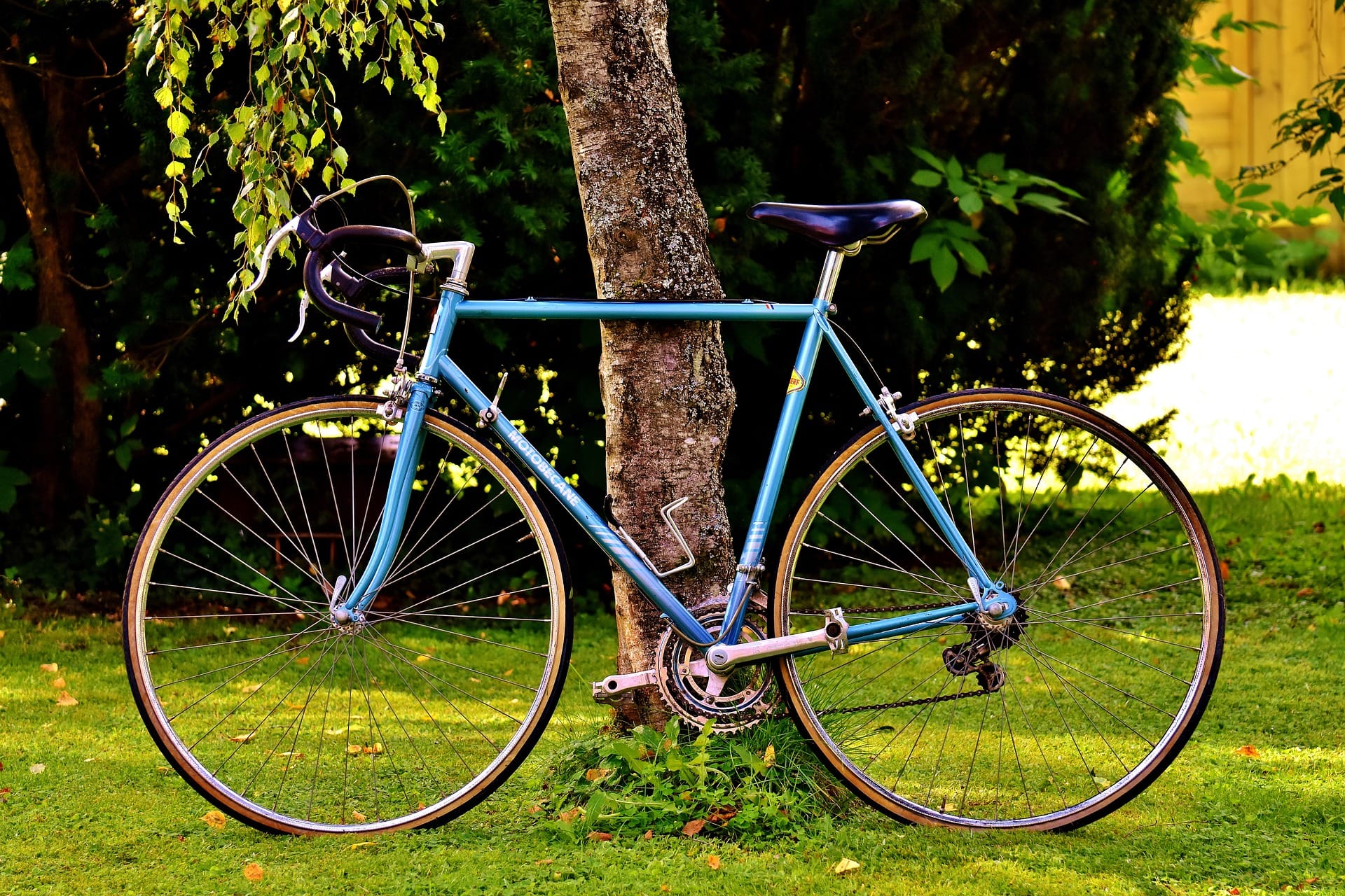 Family: A cycle - Silent Motivations